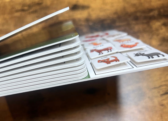 Where is the Barn Cat? ~ Lift-a-Flap Board Book + downloadable extras ...