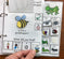 Jacob's Bug Collection Lift a Flap Book (Print & Make Book) – Panda ...