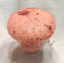 Speech Volcanos! Speech Therapy Science Experiment Visuals and Workshe ...