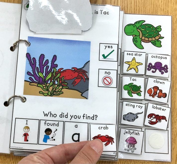 Where's Tac? Lift a Flap Book (Print & Make Book) – Panda Speech LLC