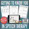 Getting to Know You in Speech Therapy ~ Print & Go – Panda Speech LLC