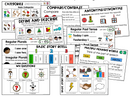 Quick Language Visuals ~ Speech Therapy Functional Decor for Teaching ...